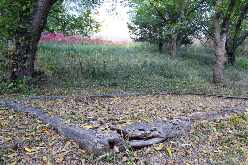 Hitchcock Backcountry Campsite #5 Badger Ridge - Pottawattamie Conservation